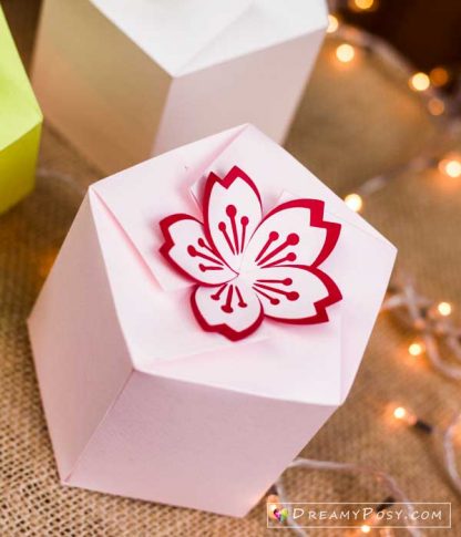 Gift box template collection – DreamyPosy templates