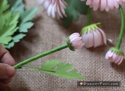 Paper daisy flower – DreamyPosy templates