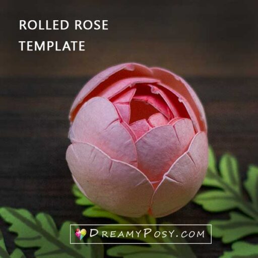 Rolled rose template – DreamyPosy templates
